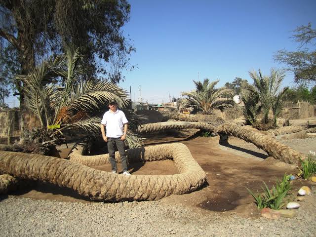 Ica City Tour: Price, Time | Denomades